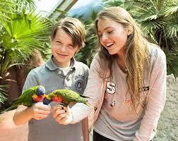 Activiteit details - De Volharding